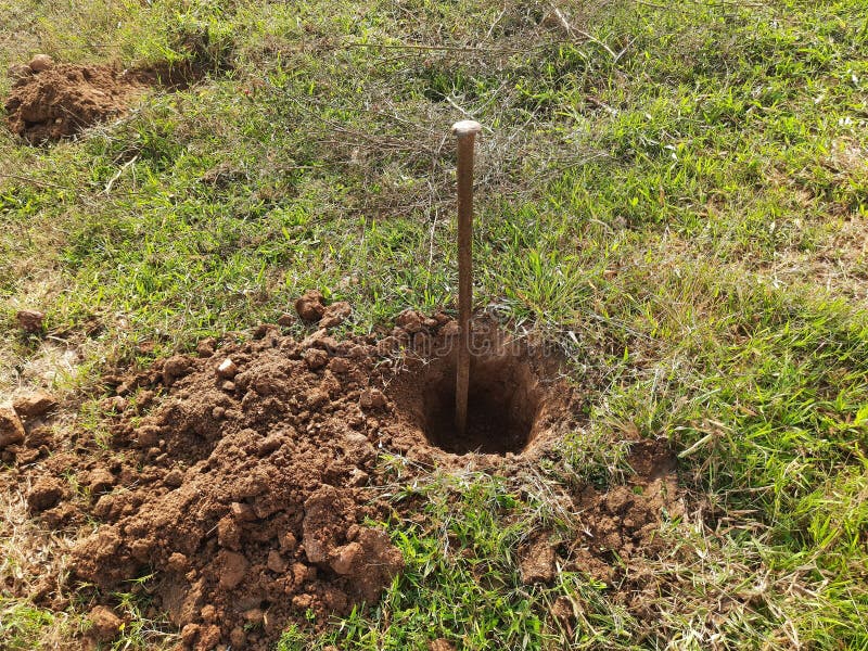 A Pit Dug for Planting a Sapling. Stock Photo - Image of ground, soil ...