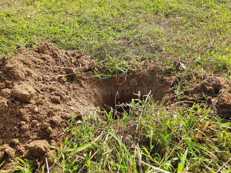 A Pit Dug for Planting a Sapling. Stock Photo - Image of gardening ...