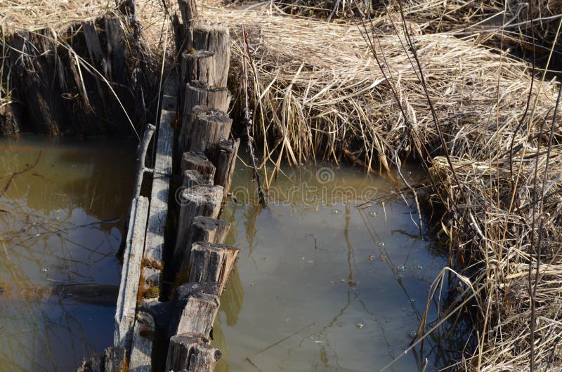 A Pit Filled with Melt Water. Stock Photo - Image of plant, winter ...