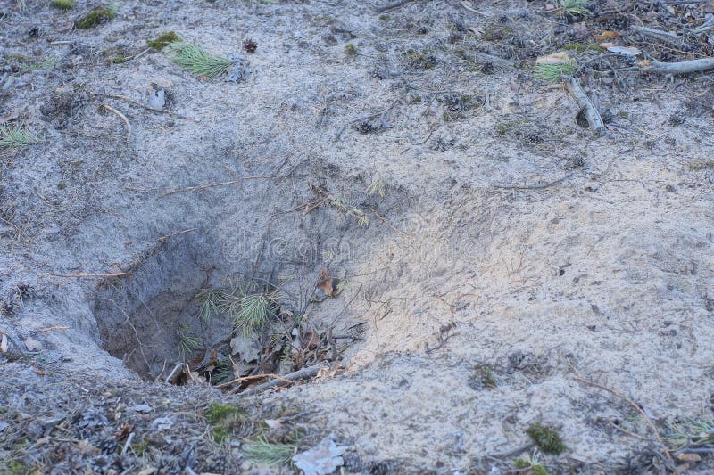 Gray Dry Sand Texture in a Heap Stock Image - Image of detail, built ...