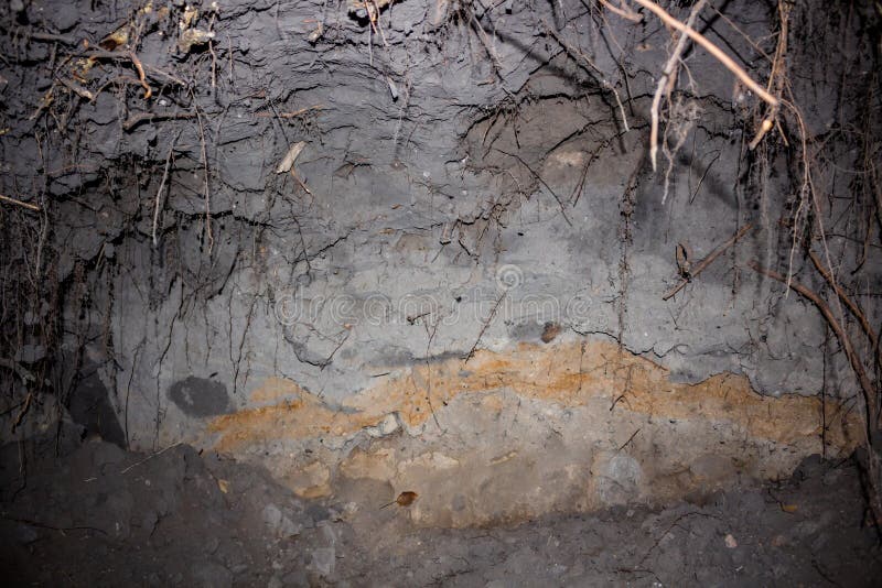 955 Pit Bottom Stock Photos - Free & Royalty-Free Stock Photos from ...