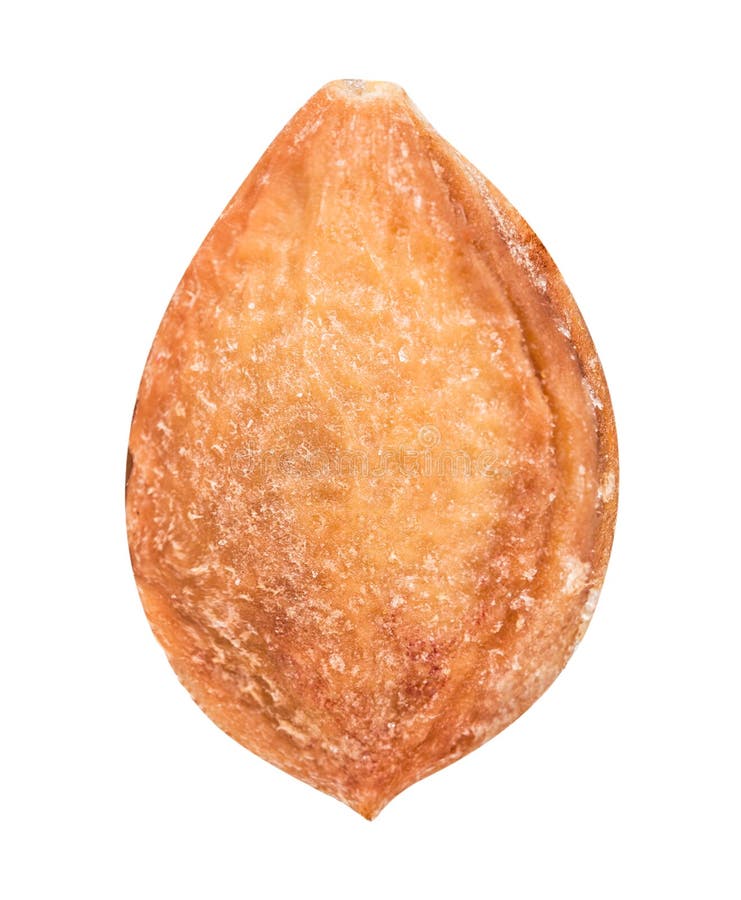 729 Plum Pit Photos - Free & Royalty-Free Stock Photos from Dreamstime