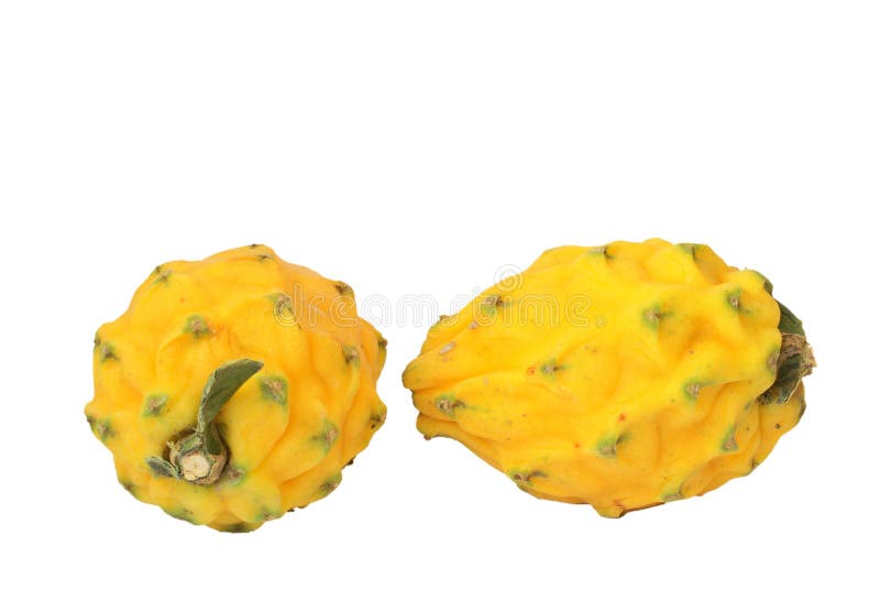 Pitahaya stock image. Image of pink, dragon, unique, hylocereus - 1899815