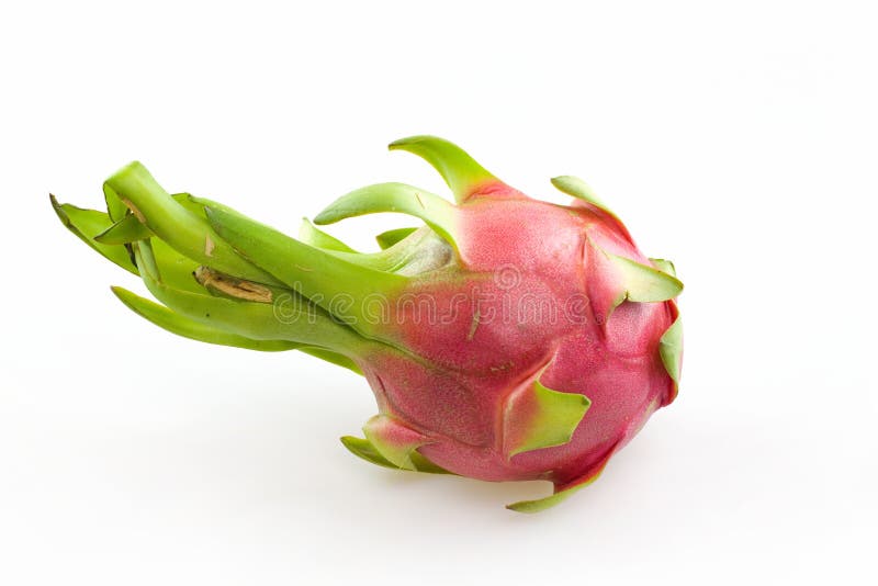 Pitaya stock image. Image of leaves, tropical, fruits - 12753955