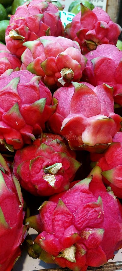 Pitaya Cacto Fruta Rosa-formigante Foto de Stock - Imagem de fruta ...