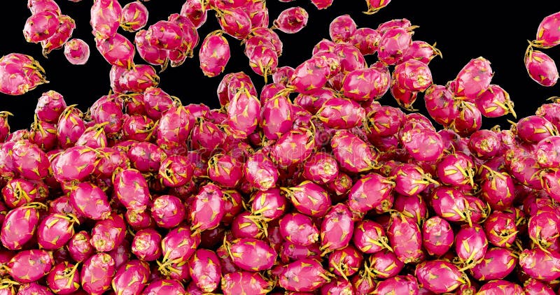 Pitaya or Dragon Fruits Falling and Fill the Screen. 3D Animation on ...
