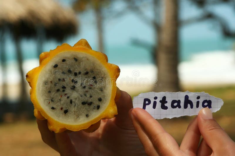 Pitaya fruit stock image. Image of fresh, exotic, america - 38574079