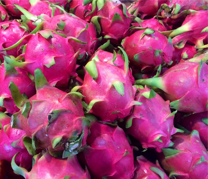 Pitaya stock image. Image of health, food, nature, ingredient - 54137489