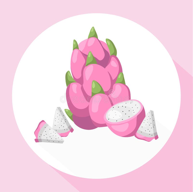 Pitaya Fruits Card Exotic Template. Vector Summer Tropic Theme Stock ...