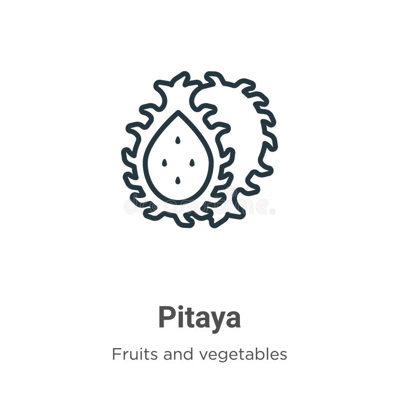 Pitaya Outline Vector Icon. Thin Line Black Pitaya Icon, Flat Vector ...