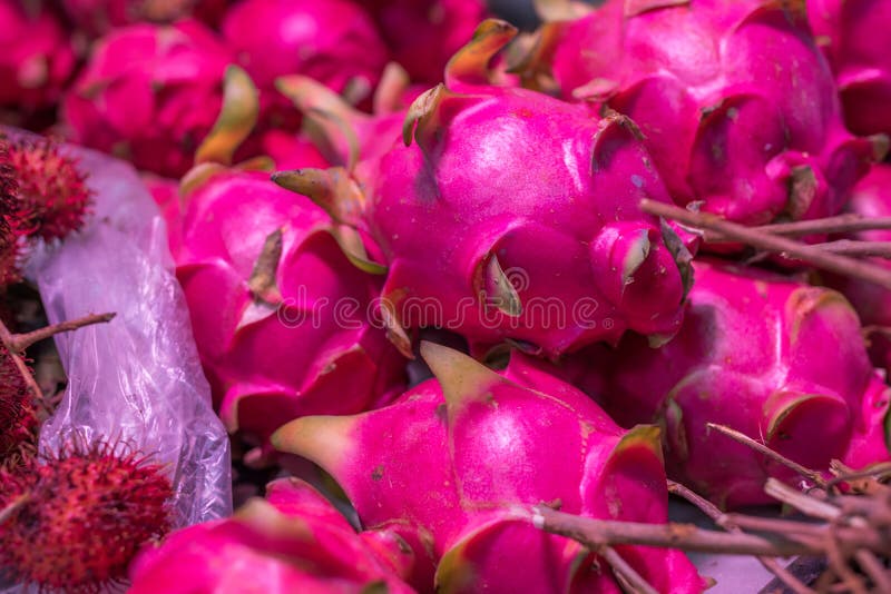 Pitaya stock image. Image of food, sales, life, pitaya - 106902799