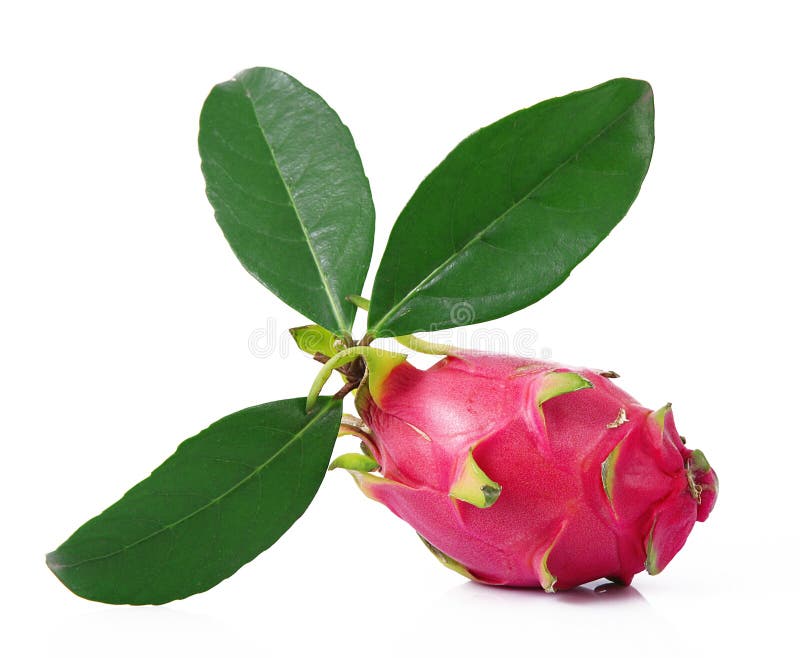 Pitaya Rouge Sur Le Fond Blanc Photo stock - Image du frais, cuisine ...