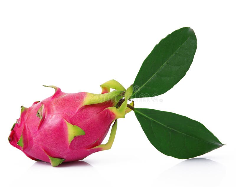 Pitaya Rouge Sur Le Fond Blanc Photo stock - Image du vivacité, frais ...