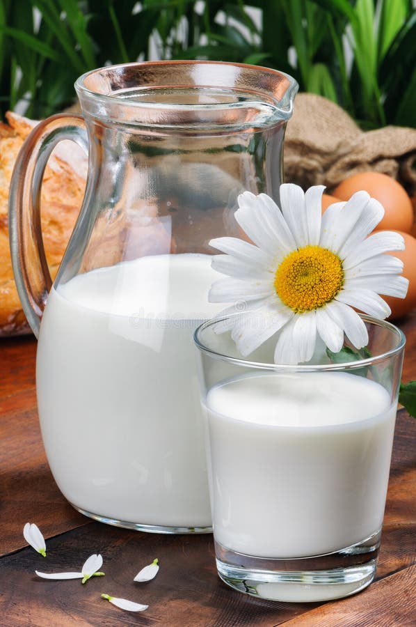 Pitcher of Fresh Milk with Daisy Stock Photo - Image of full, breakfast ...