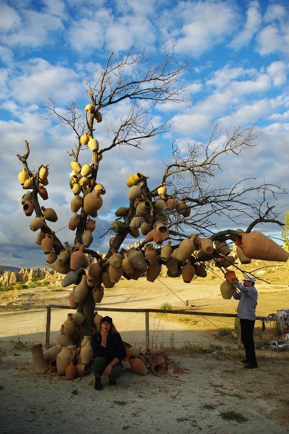 Pitcher Tree stock photo. Image of anatolia, culture - 11777248