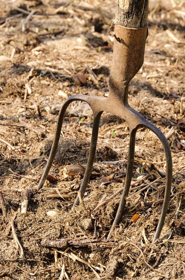 Pitchfork stock image. Image of garden, country, farm - 22355783