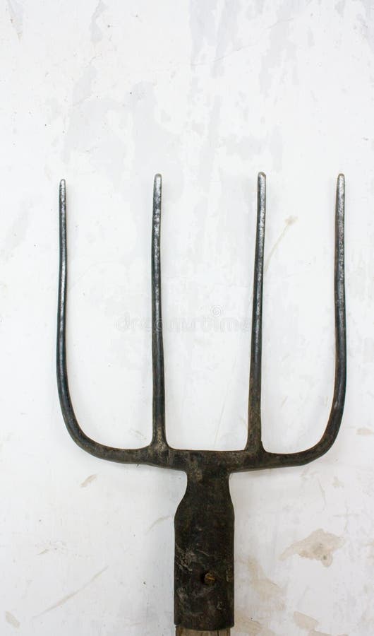 Pitchfork stock image. Image of field, implements, barn - 7732461