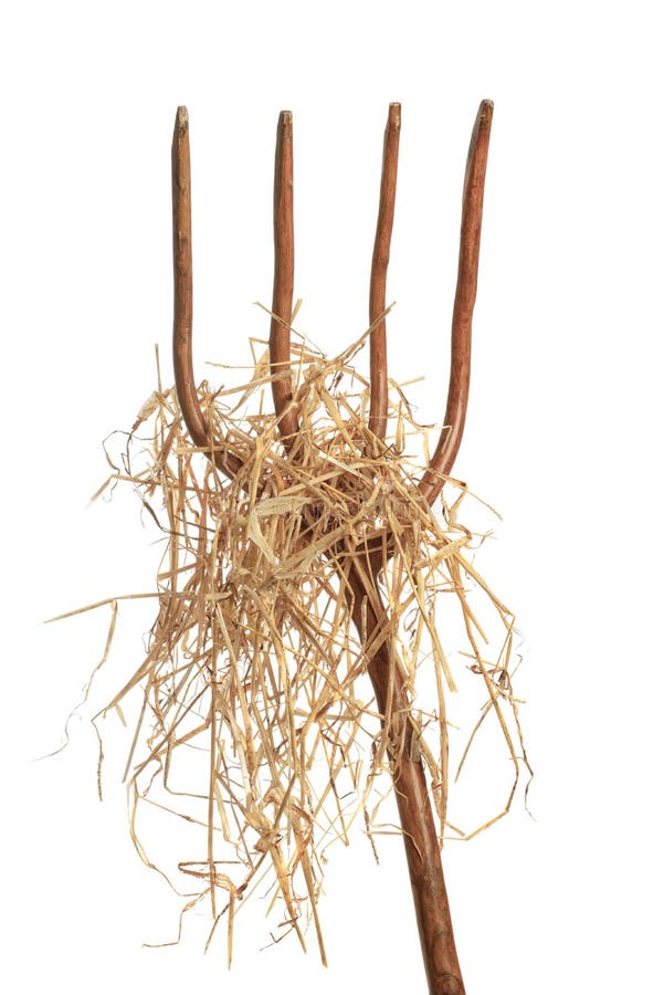 Bales of Straw Hay with Pitchfork in Barn Stock Image - Image of horse ...