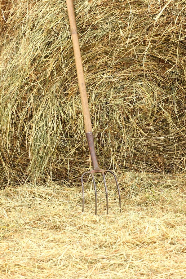 Pitchfork stock image. Image of tool, yellow, barn, silage - 26183795