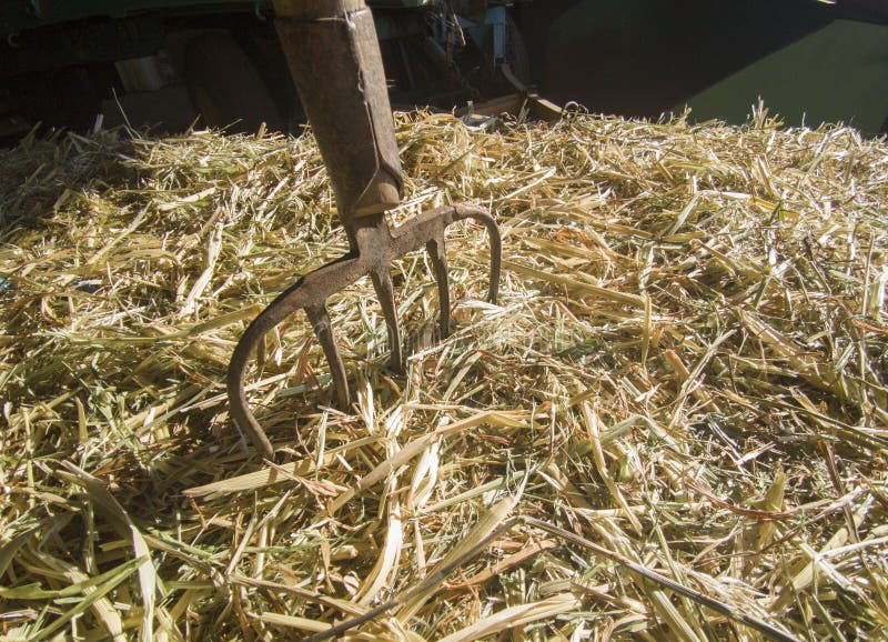 A Pitchfork Stuck in a Bale of Straw Stock Photo - Image of popular ...