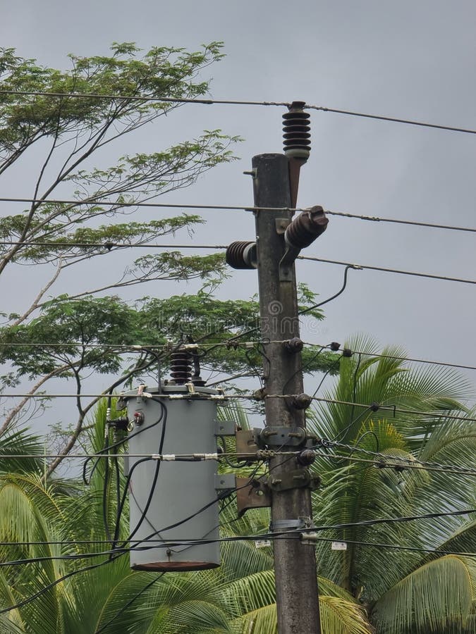 Pitcure of power pole stock image. Image of branch, electricity - 261677463