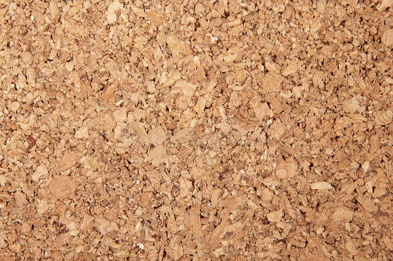 Pith Tree Picture. Image: 5794438