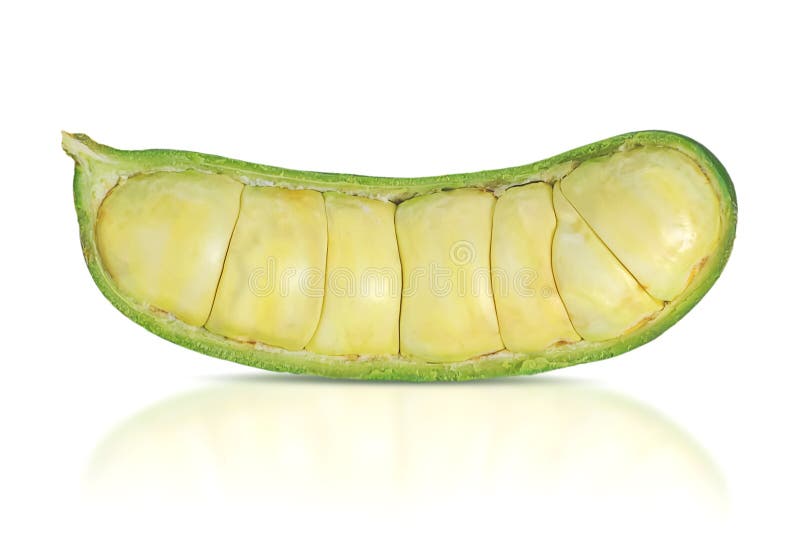 Buah Kerdas Stock Photos - Free & Royalty-Free Stock Photos from Dreamstime