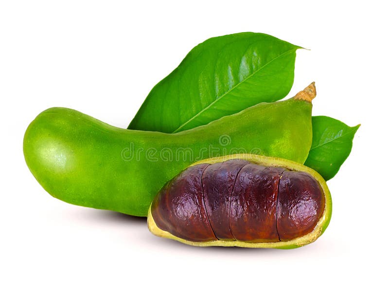 Buah Kerdas Stock Photos - Free & Royalty-Free Stock Photos from Dreamstime