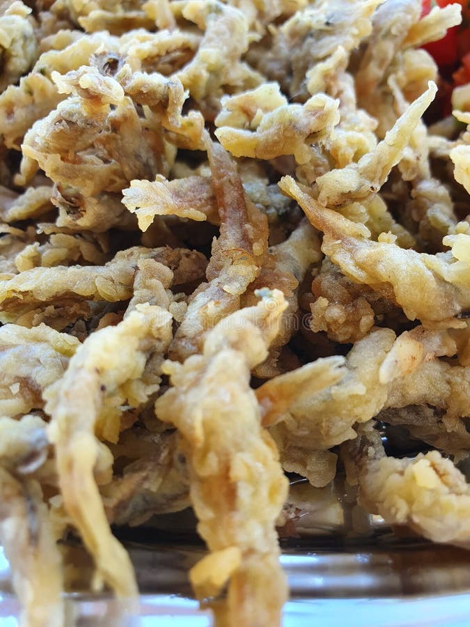 Pititinga fried fish stock image. Image of produce, fish - 233786419