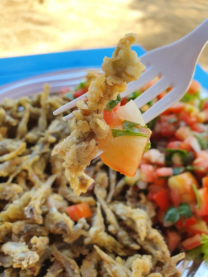 Pititinga frita foto de archivo. Imagen de ensalada - 233786414