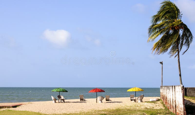 Pititinga (RN, Brazil) Beach with Beach Umbrellas Stock Image - Image ...