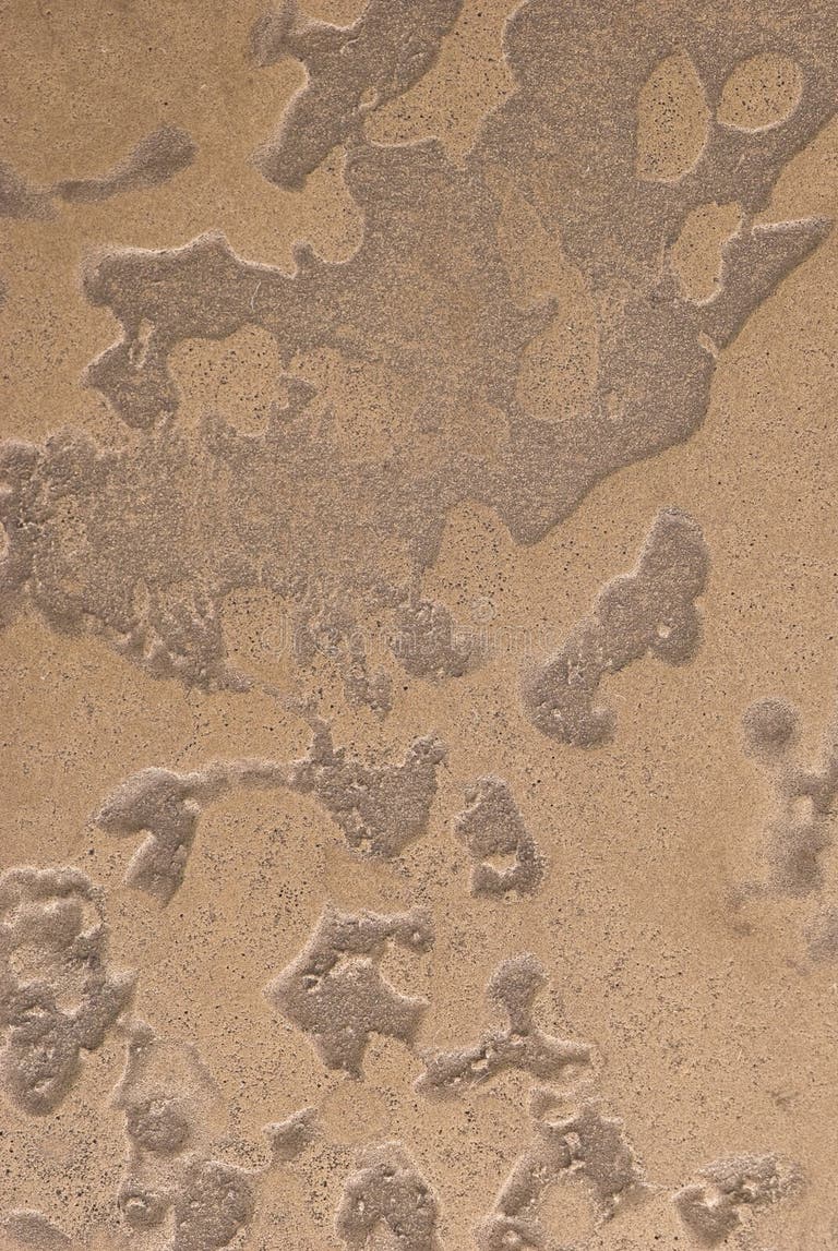 402 Pitted Worn Surface Stock Photos - Free & Royalty-Free Stock Photos ...