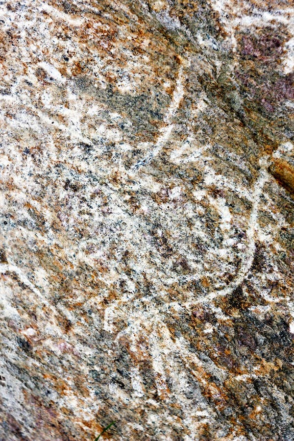 Pitted stone texture stock photo. Image of tile, rough - 73543768