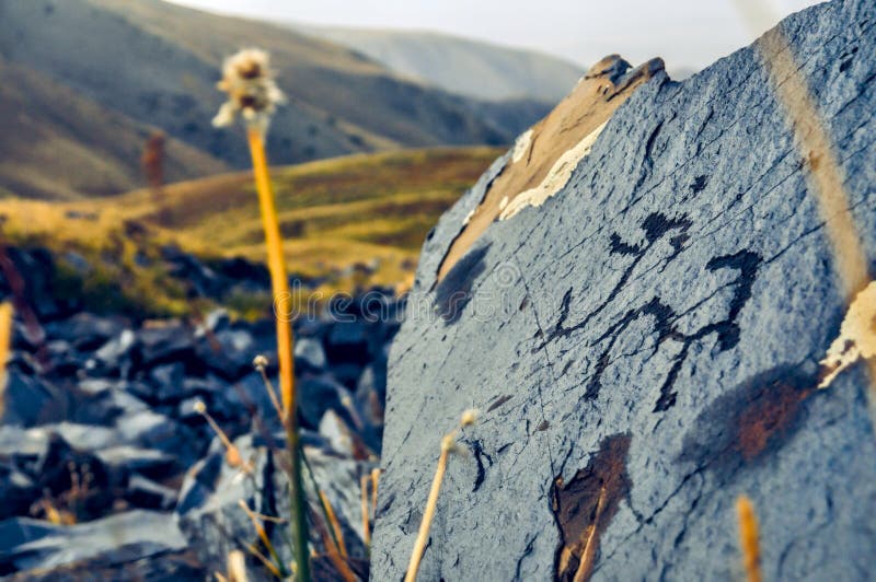 Pittogrammi antichi fotografia stock. Immagine di antico - 49175928