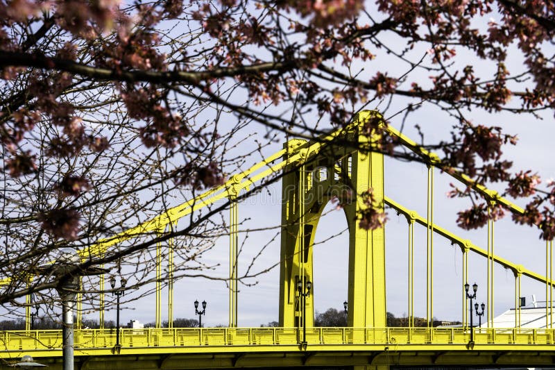 Pittsburgh with Yellow Bridge and Cherry Blossom Trees. Stock Image ...
