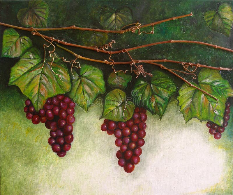 Uva illustrazione di stock. Illustrazione di saporito - 5395330