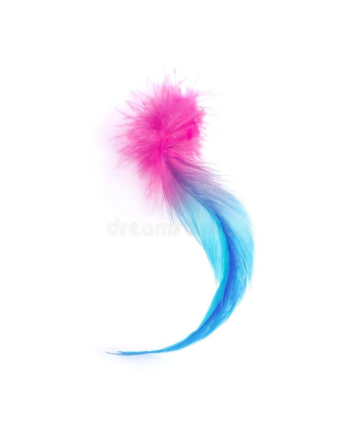 Piuma fotografia stock. Immagine di benissimo, rosso - 19911198