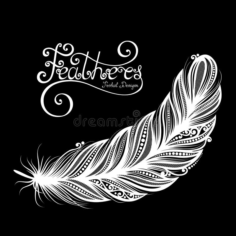 Piuma Decorativa Vector Peerless Illustrazione Vettoriale ...