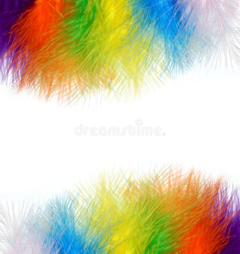 Piume colorate fotografia stock. Immagine di pace, fragile - 12456382