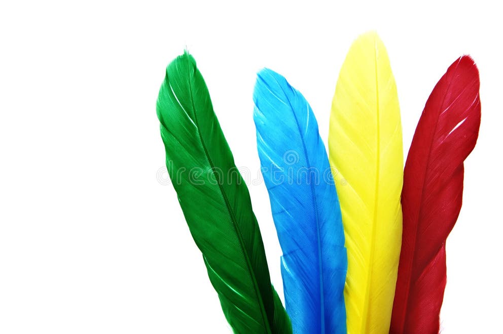 Piume colorate immagine stock. Immagine di grafico, libero - 13141911