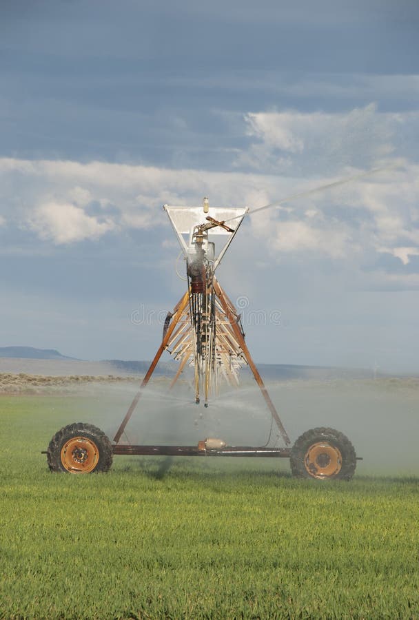 Central Pivot Irrigation System in a Green Field. Sunset Over Farmland ...