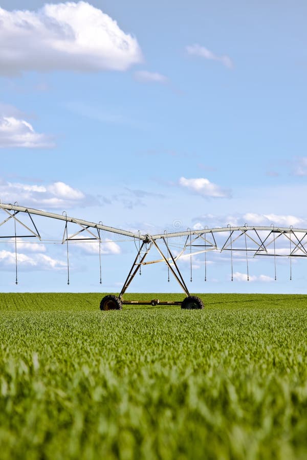 Irrigation De Pivot En Egypte Image stock - Image du moisson, droites ...