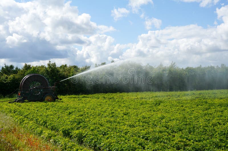 Pivot D'irrigation Arrosant Les Champs Photo stock - Image du ...