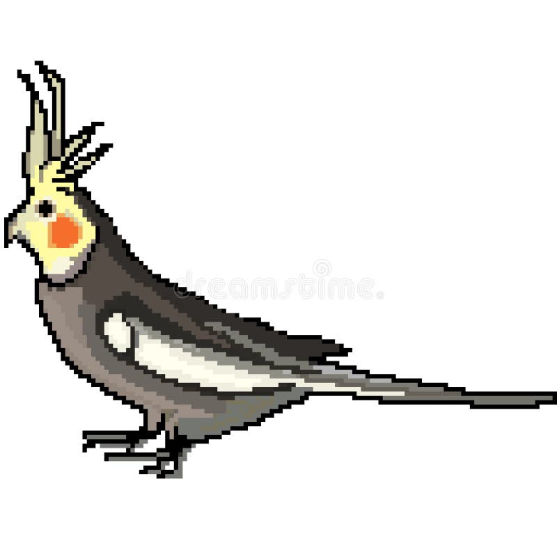 Cockatiel Stock Illustrations – 303 Cockatiel Stock Illustrations ...