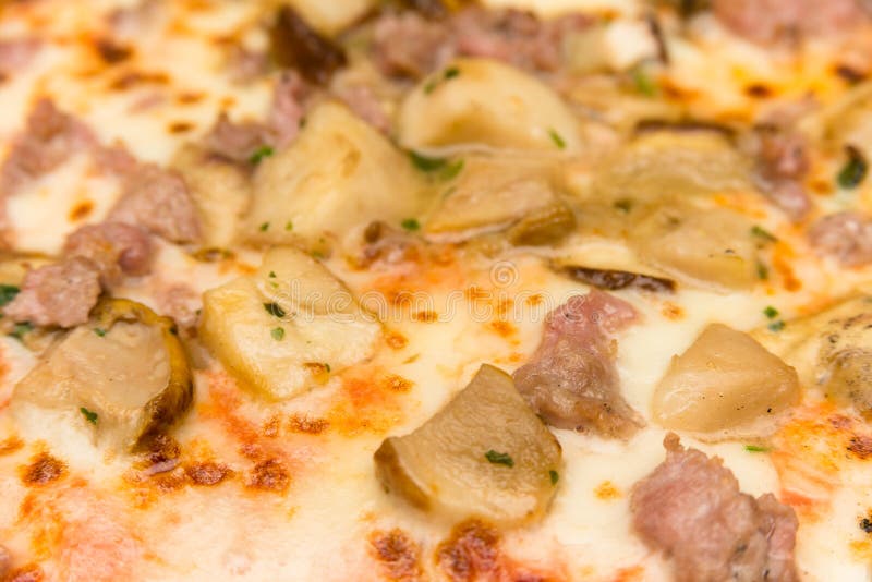 Pizza Con Porcini Y La Salchicha Imagen de archivo - Imagen de ...