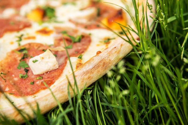 Pizza on grass stock photo. Image of fast, appetite, lunch - 41708172