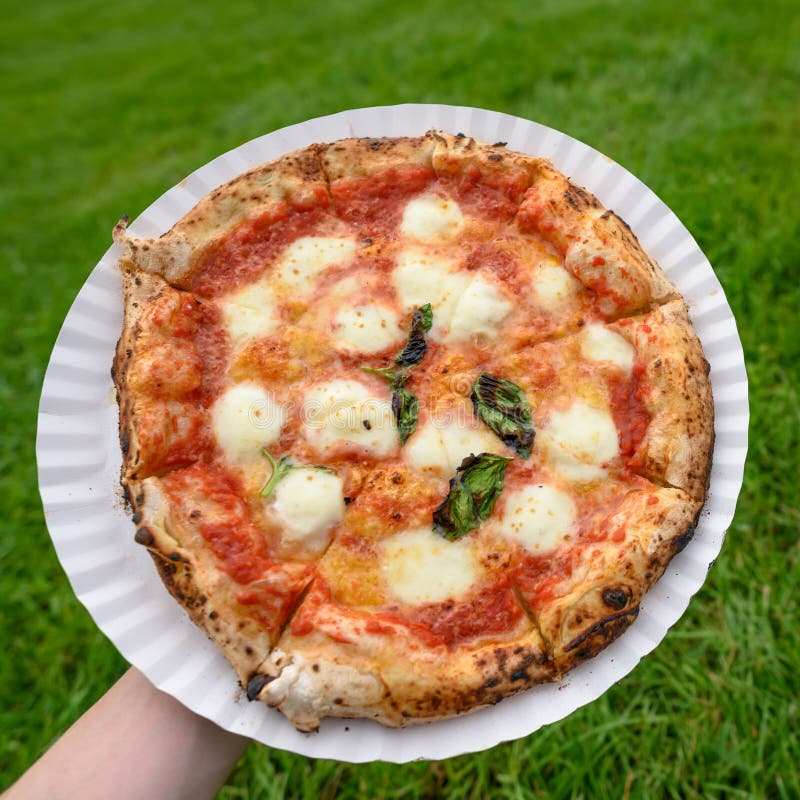 Pizza on green grass stock photo. Image of tasty, delicious - 75247994