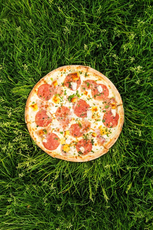 Pizza and Nature stock photo. Image of curve, pastry - 41708192