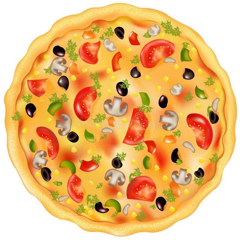 Pizza. Vector stock vector. Illustration of parsley, food - 14545108
