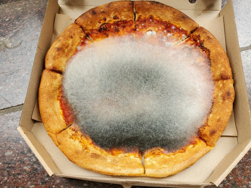Rotten Pizza Stock Photos - Free & Royalty-Free Stock Photos from ...